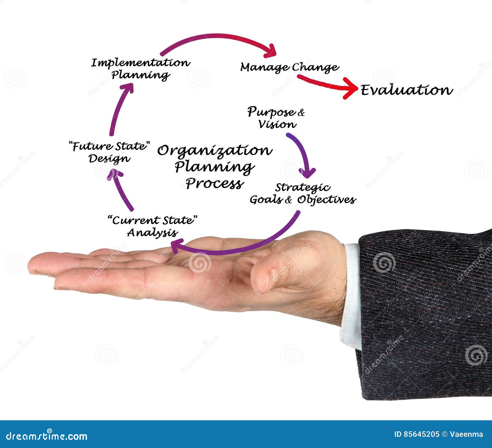 Organizational Planning Guide Types Of Plans Steps And