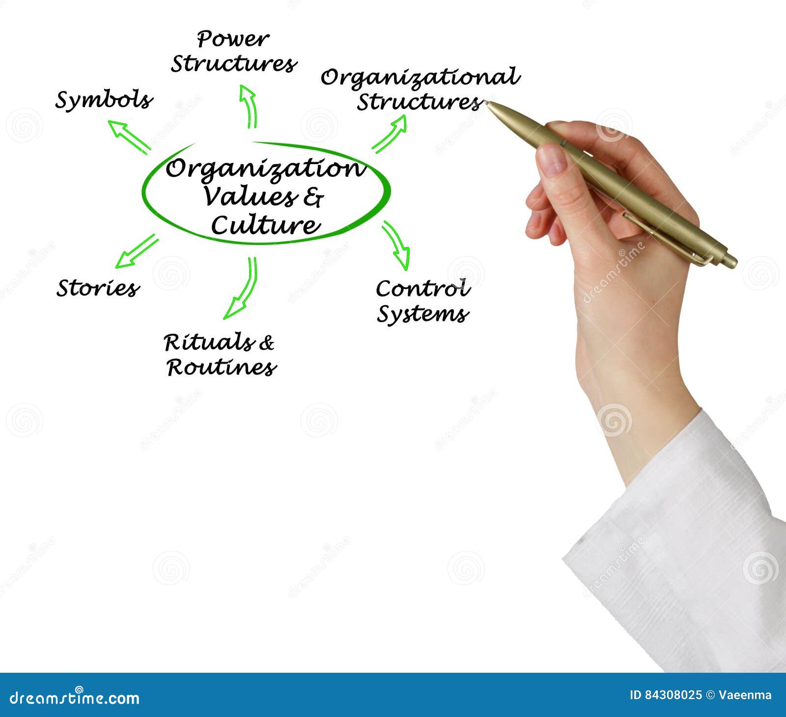 Organization Values & Culture Stock Image - Image of drawing, diagram ...