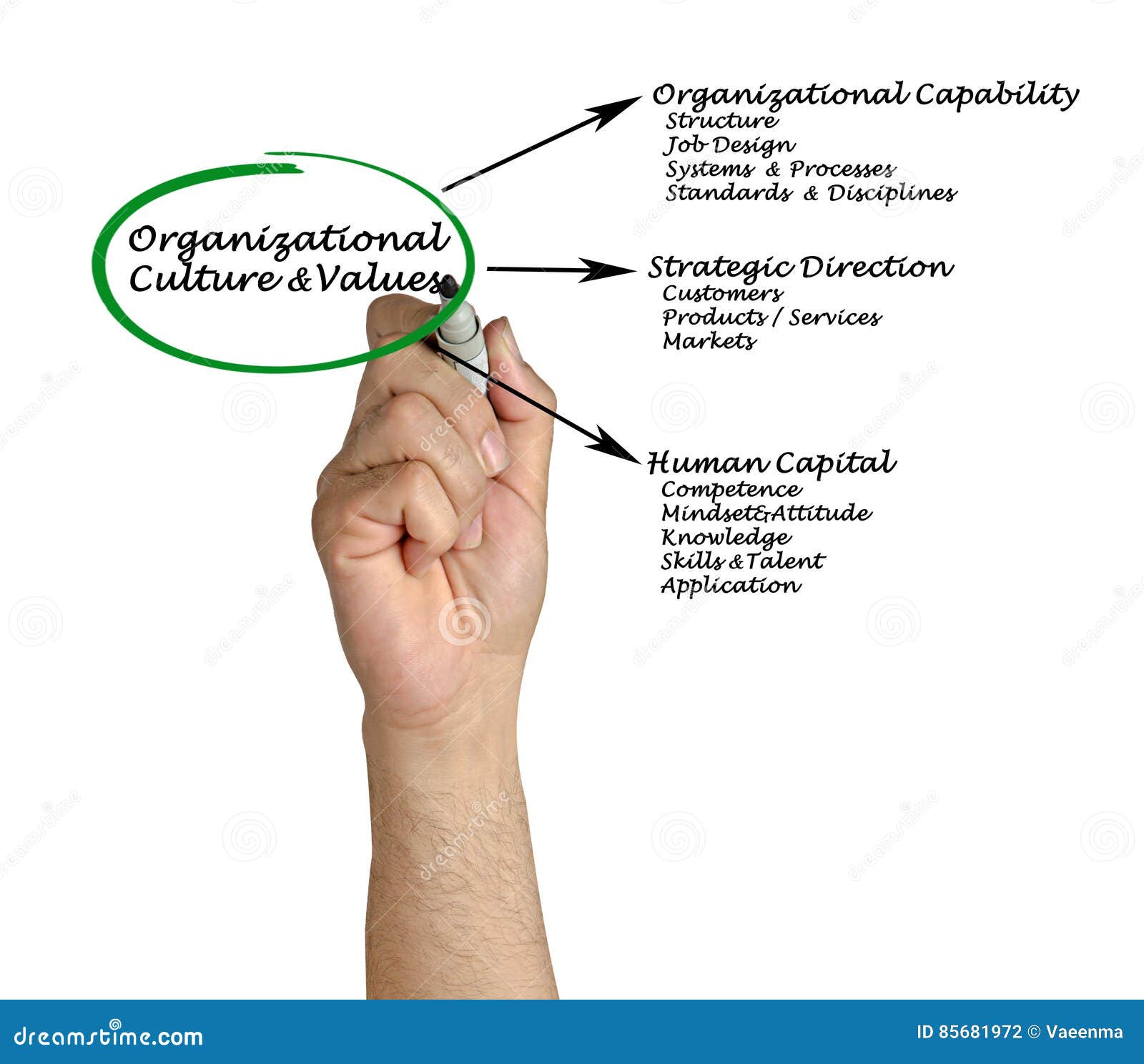 Organizational Culture&Values Stock Photo - Image of business, human ...