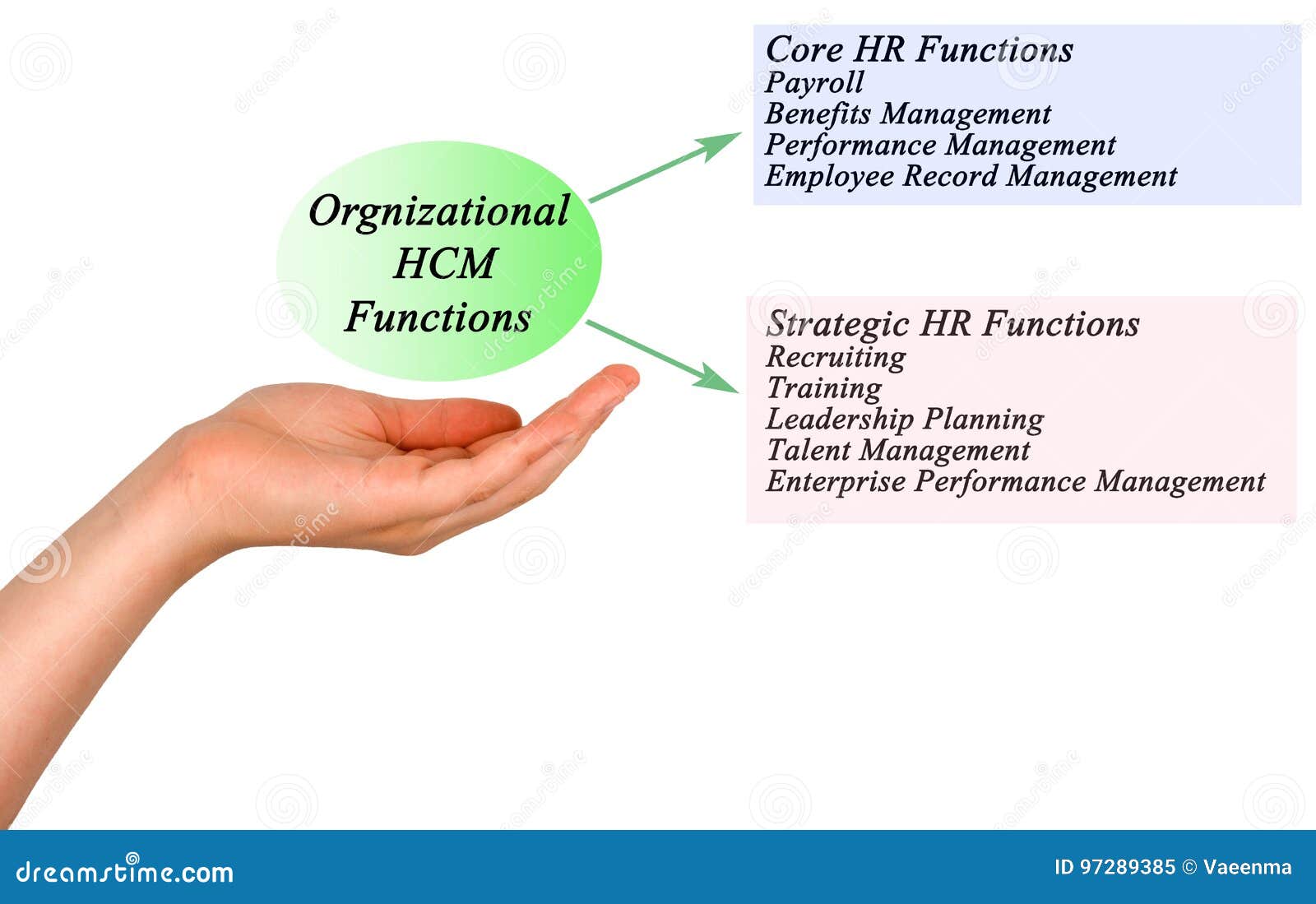 Organizational HCM Functions Stock Image - Image of functions ...