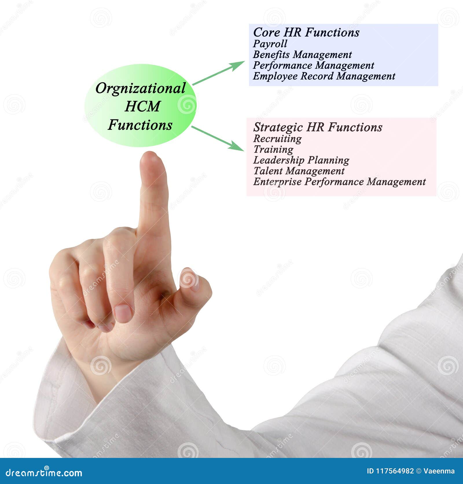 Organizational HCM Functions Stock Photo - Image of human, assessment ...
