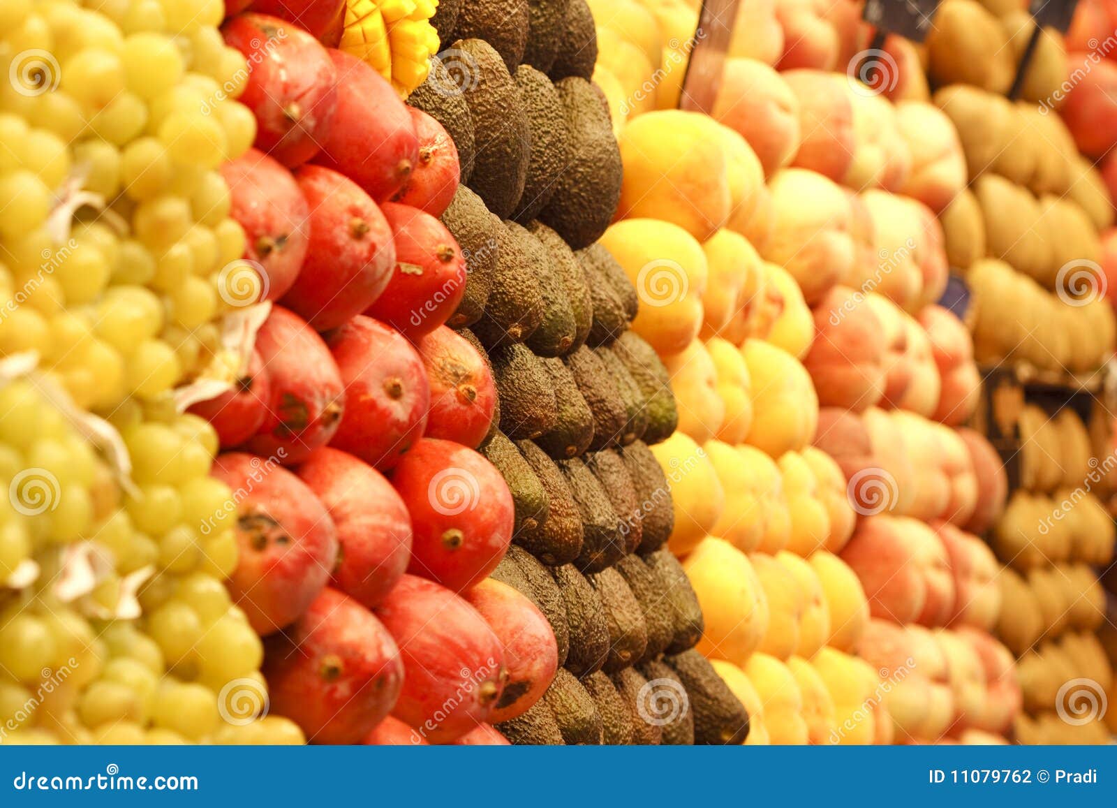 Organized Fruit stock photo. Image of avocado, orange - 11079762