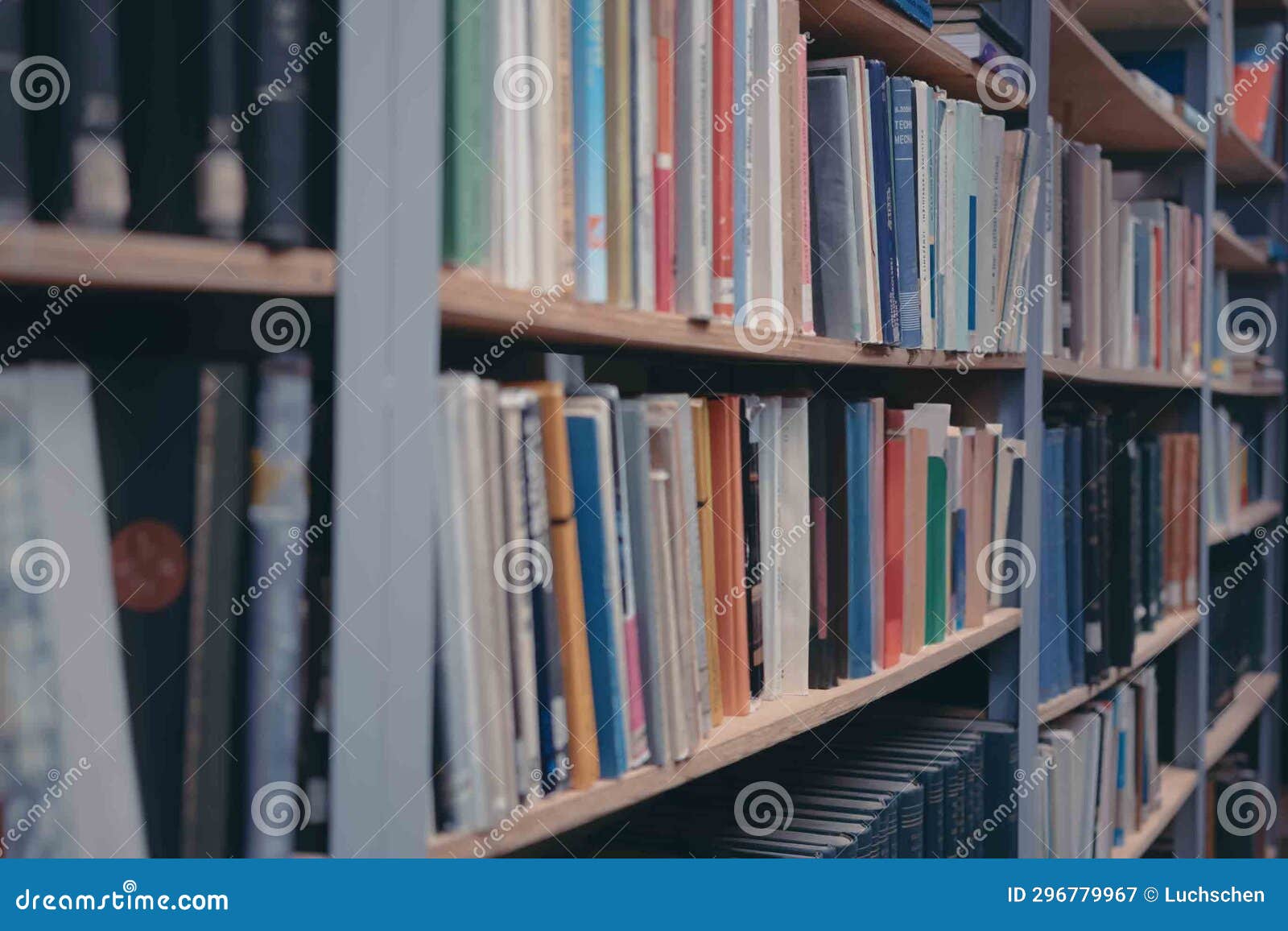 Organized Literature on Shelves in Quiet Library Stock Image - Image of ...