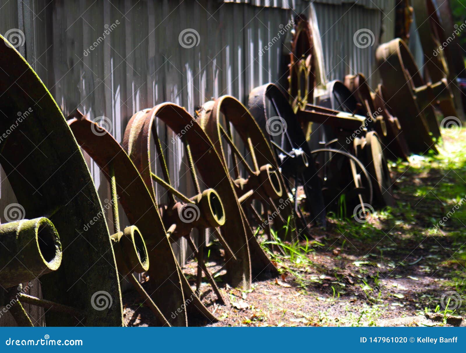 Organized Vintage Rusty Tractor Rims Stock Photo - Image of rusty ...