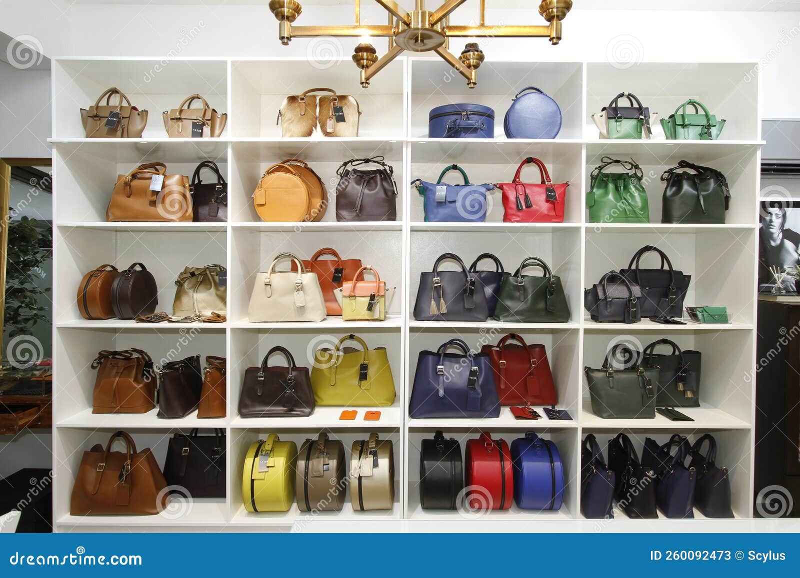 Organized and Well-lighted Bag Store with Various Types of Leather Bags ...