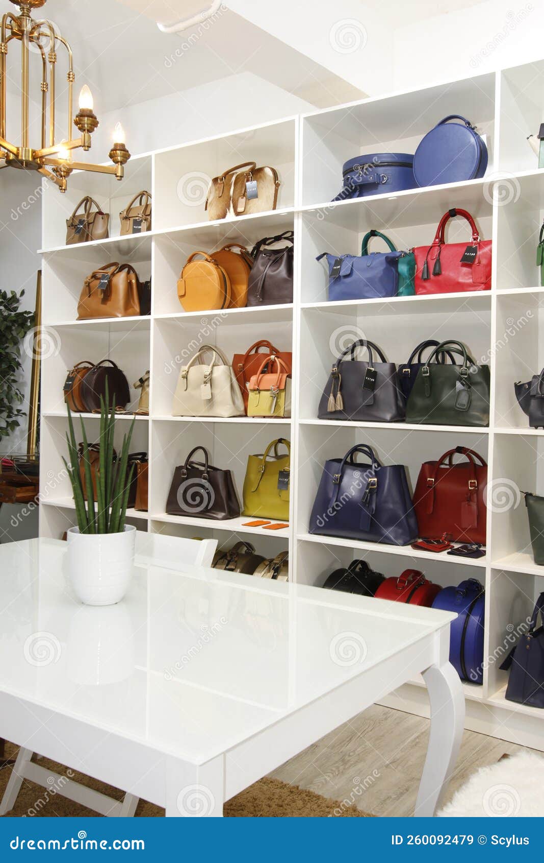 Organized and Well-lighted Bag Store with Various Types of Leather Bags ...