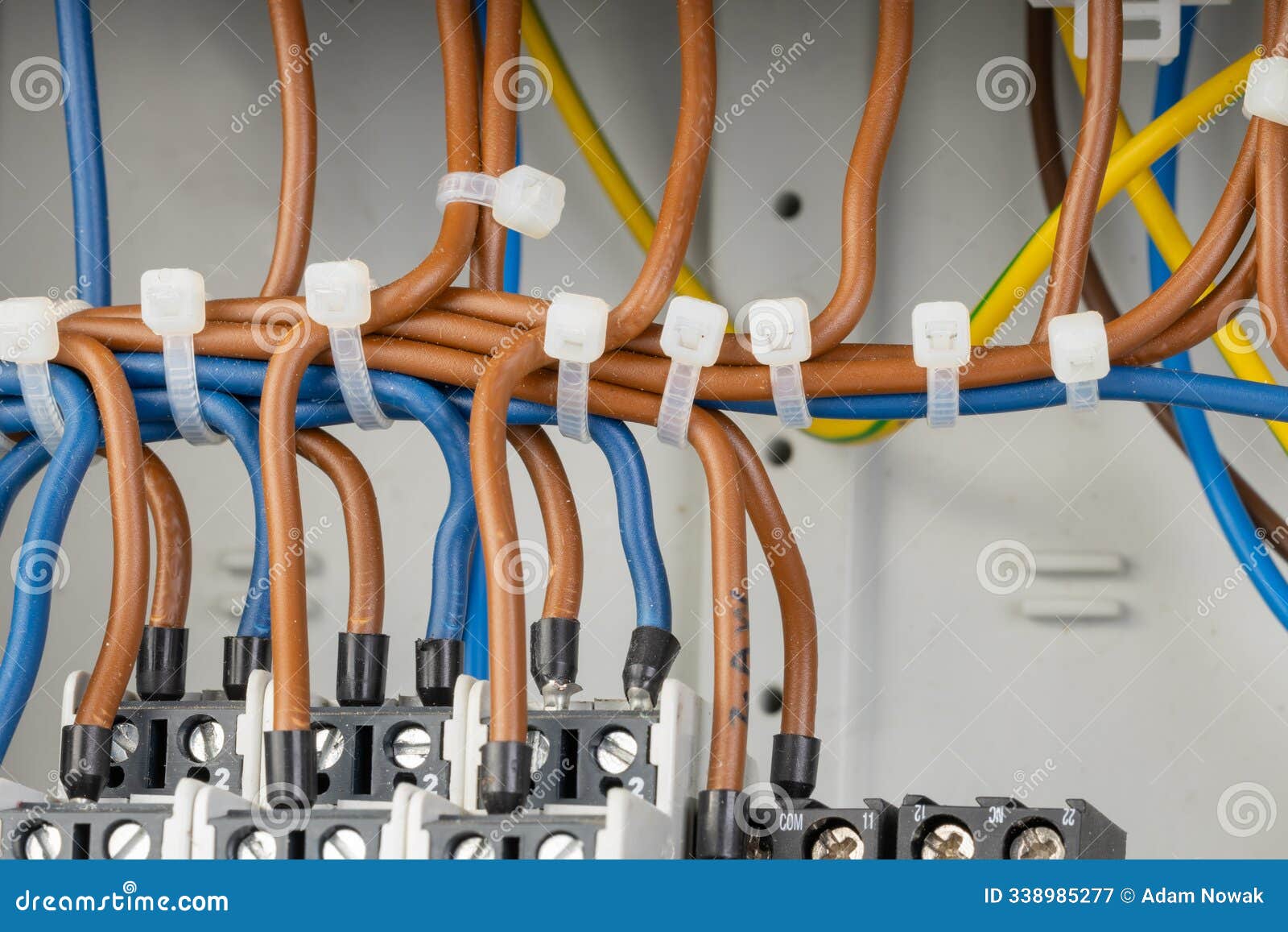 Organized Wiring and Cables in an Electrical Control Panel Stock Image ...