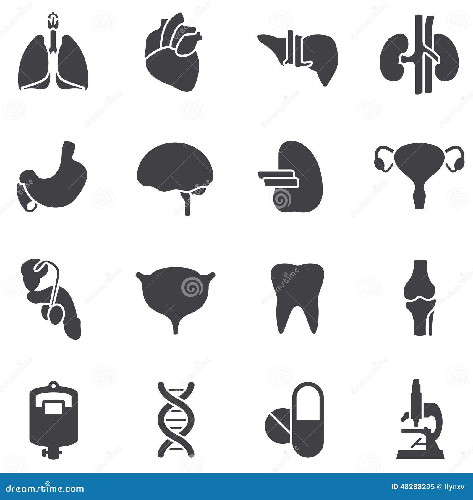 Vector Organs And Anatomy Colored Icons In Circle Design Concept ...
