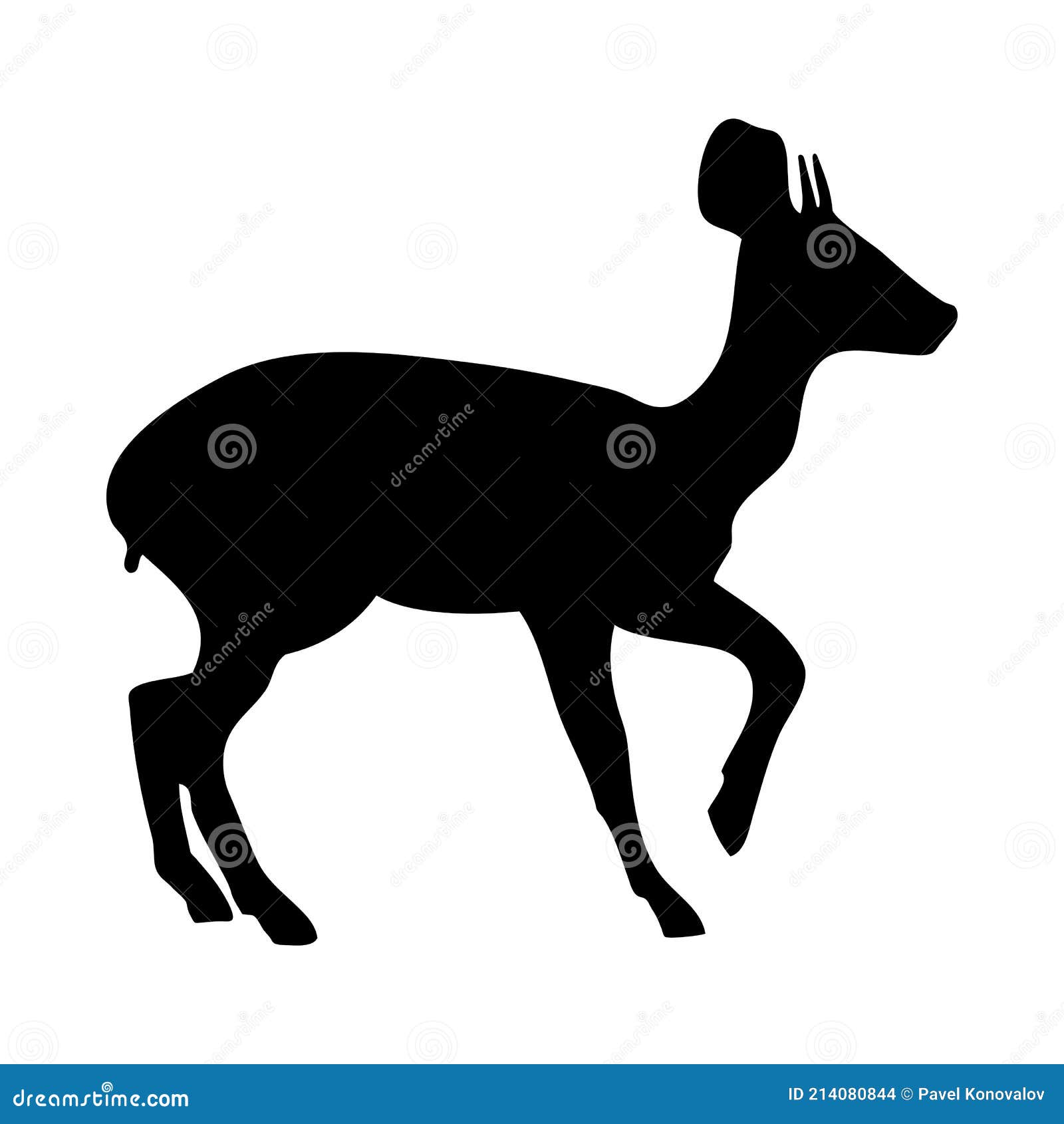 Oribi Stock Illustrations – 4 Oribi Stock Illustrations, Vectors ...