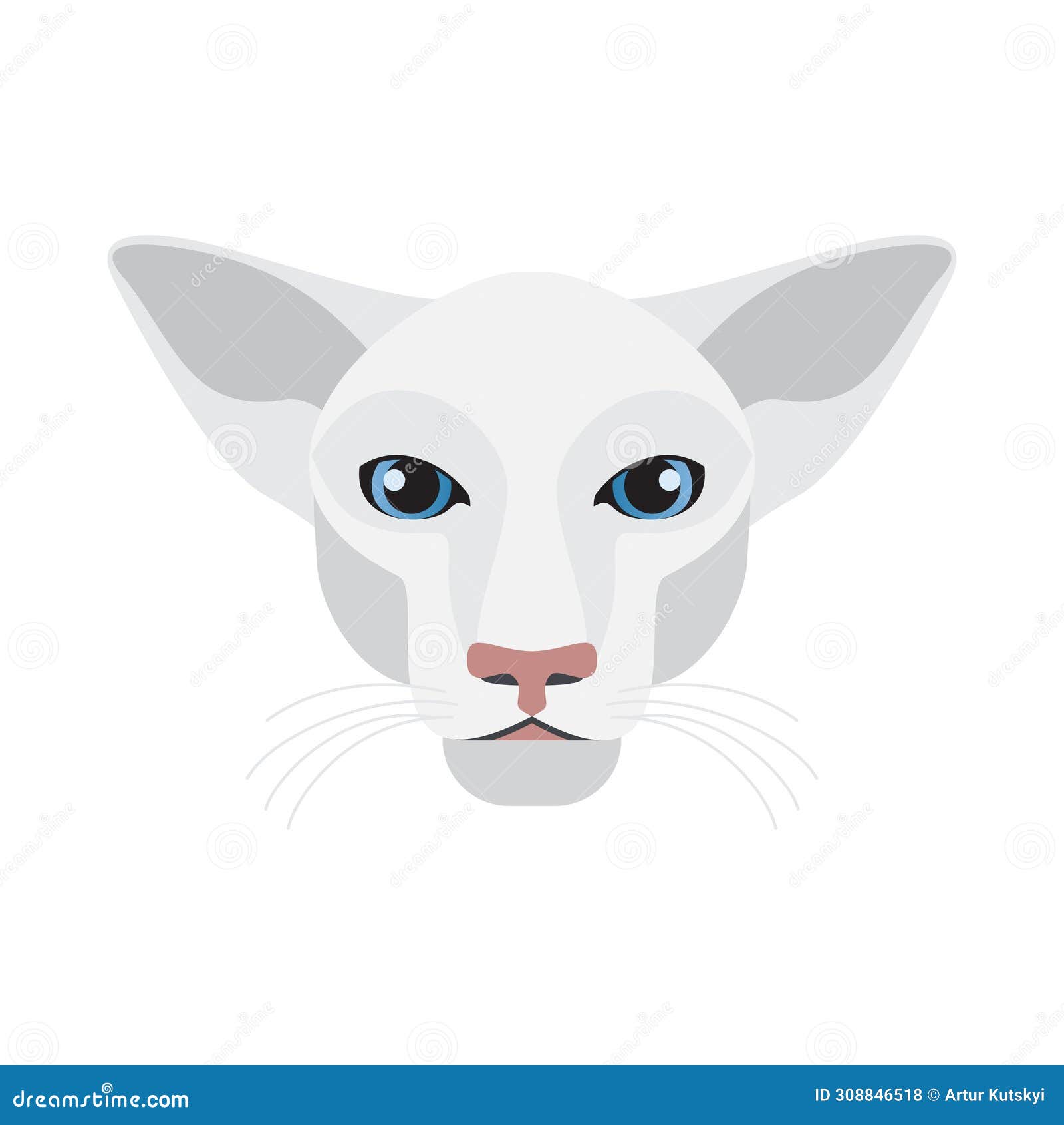 Oriental Cat Face, Head of White Kitten with Blue Eyes, Large Ears and ...