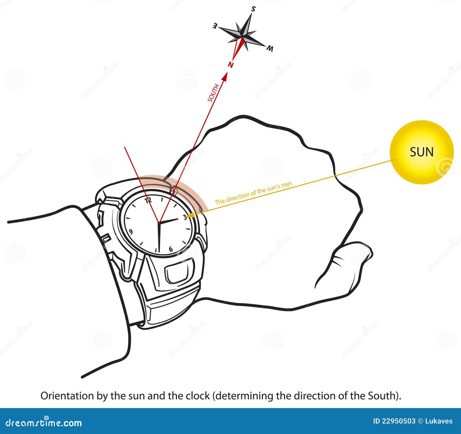 Orientation Cartoon Vector | CartoonDealer.com #8714049