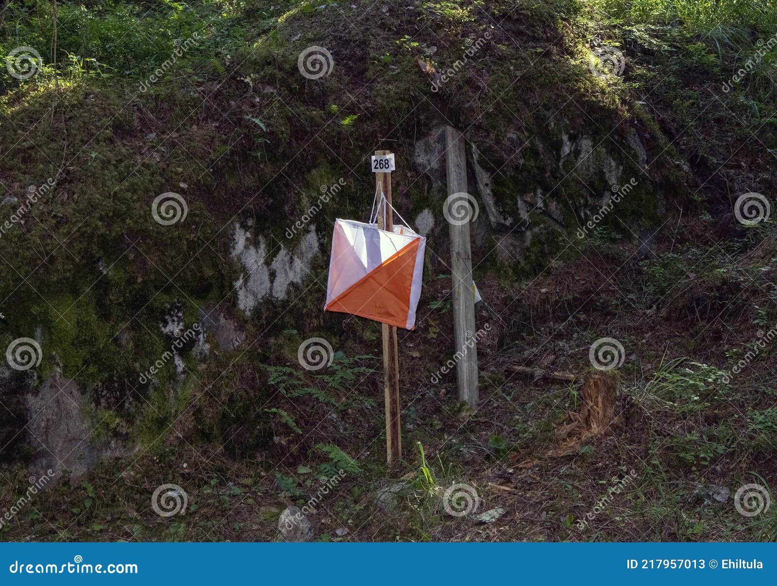 Orienteering Control Point in a Forest, Finland Stock Image - Image of ...