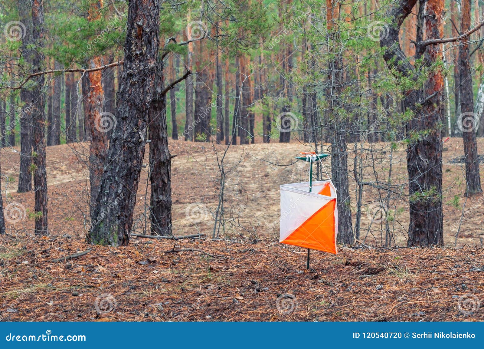 Orienteering. Control Point Prism and Composter for Orienteering in the ...