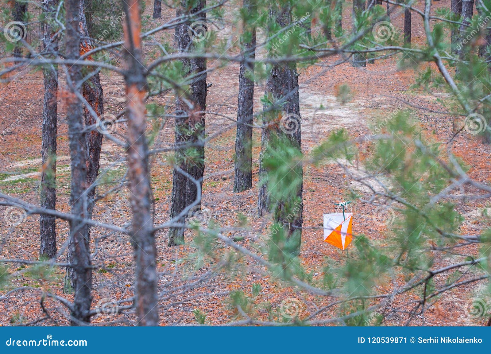 Orienteering. Control Point Prism and Composter for Orienteering in the ...