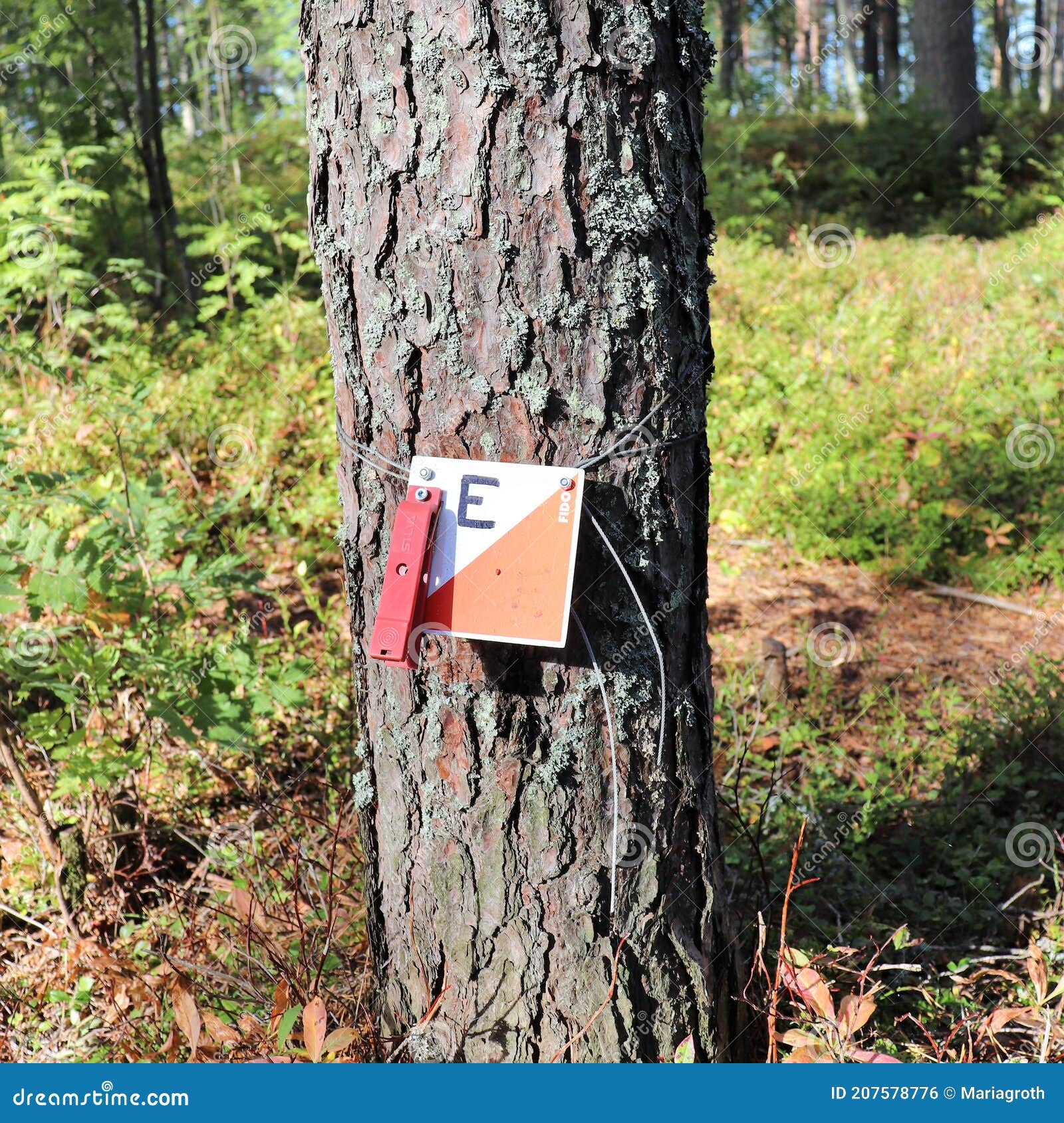 Checkpoint for Orientation in the Forest Editorial Photo - Image of ...