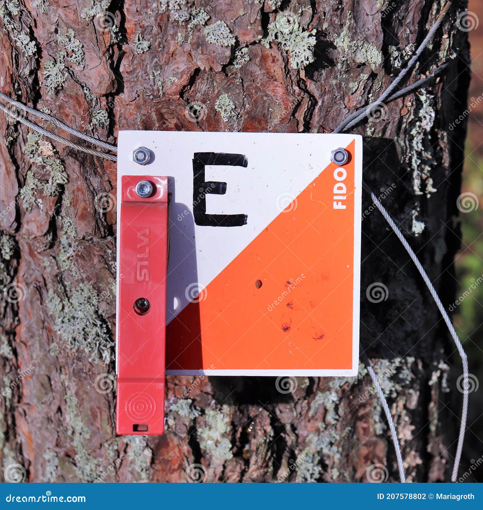Checkpoint for Orientation in the Forest Editorial Photography - Image ...