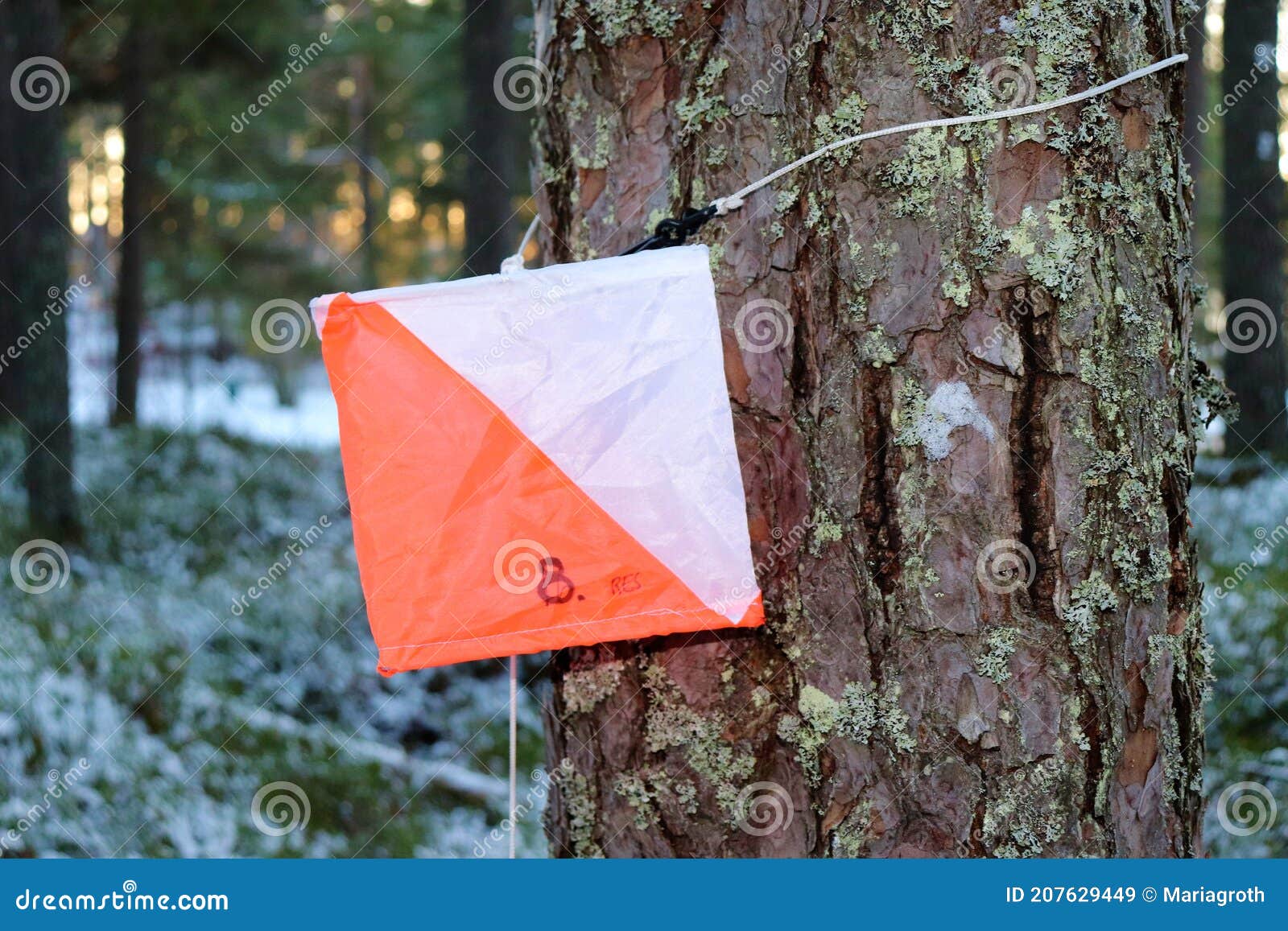 Checkpoint for Orientation in a Wintry Forest Stock Image - Image of ...