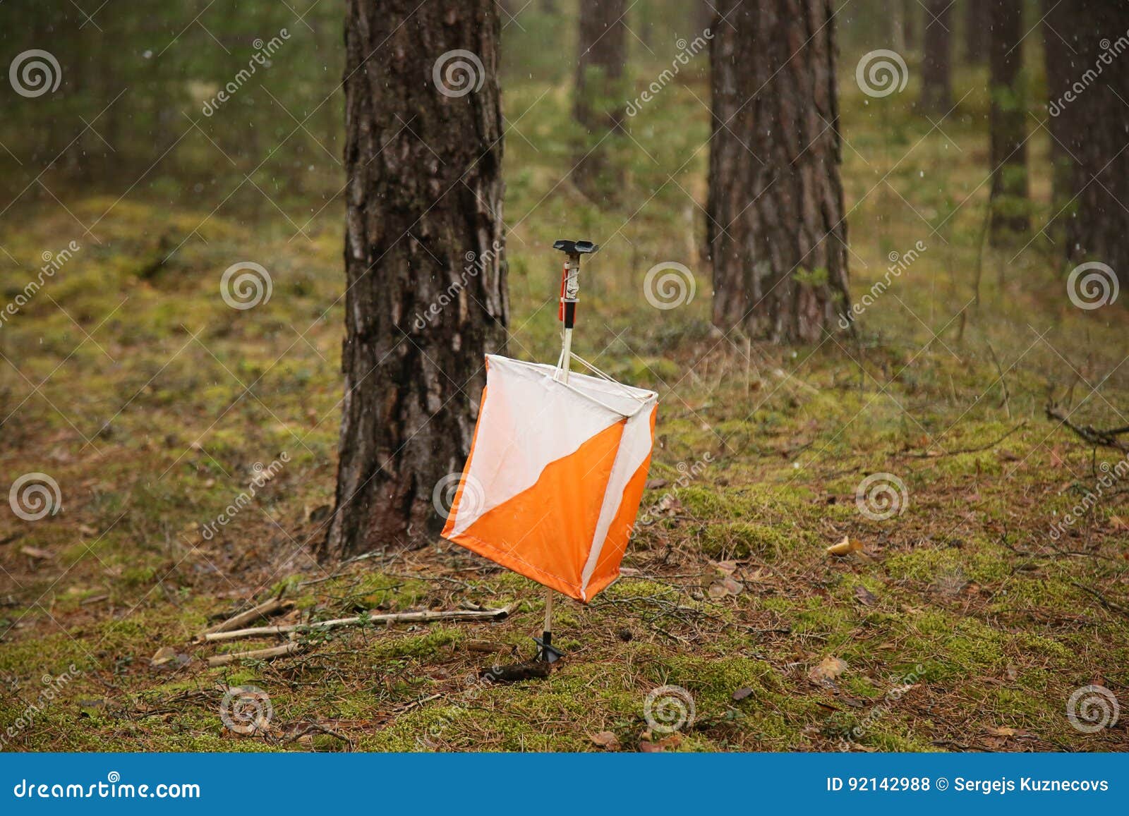 Orienteering Marker in the Forest Stock Photo - Image of land ...