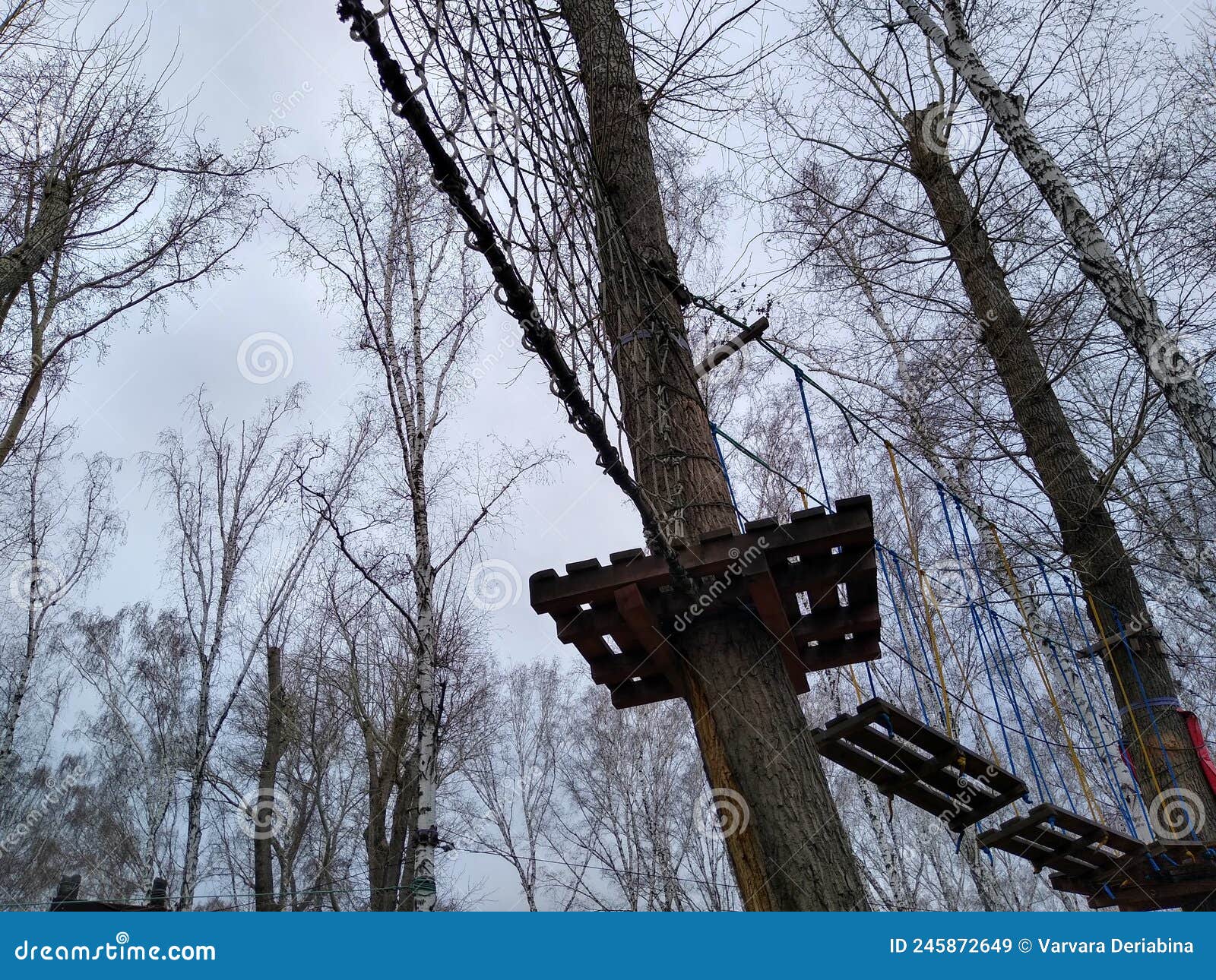 Orienteering in the Park Using Hanging Ladders and Ropes To Overcome ...
