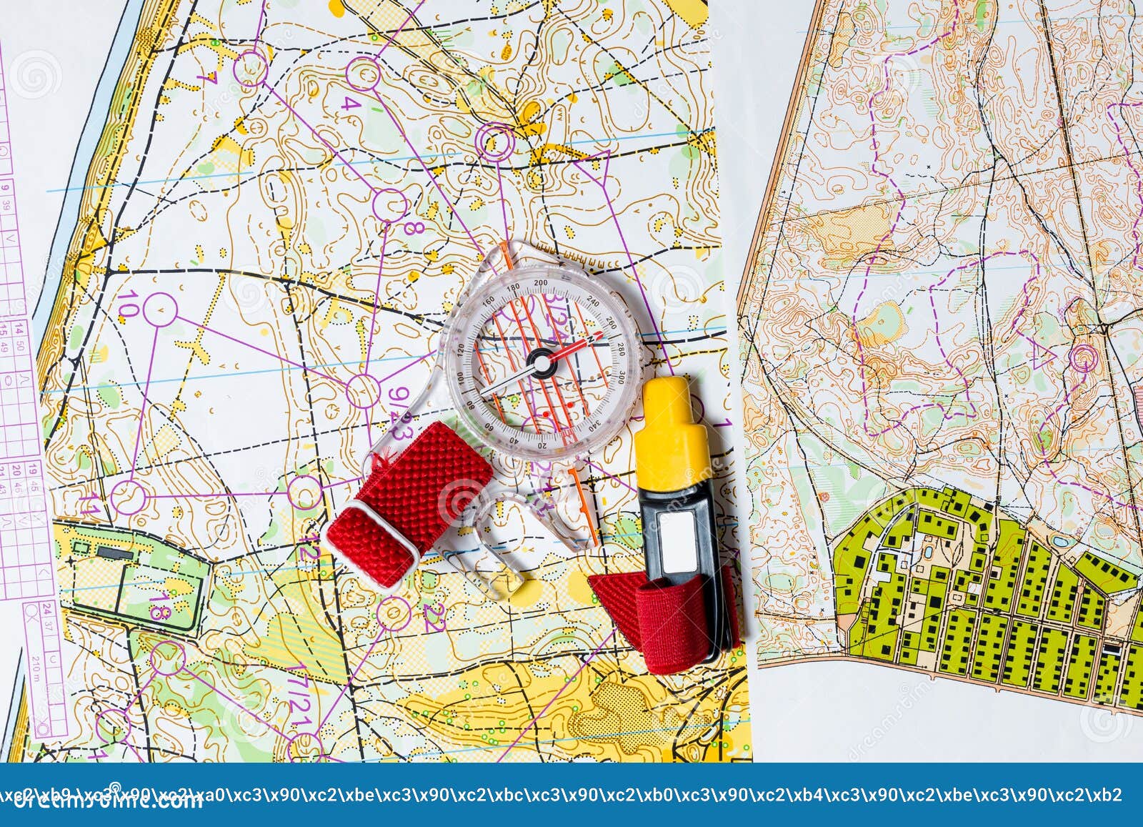 Orienteering Sport is a Compass Card and Chip Stock Photo - Image of ...