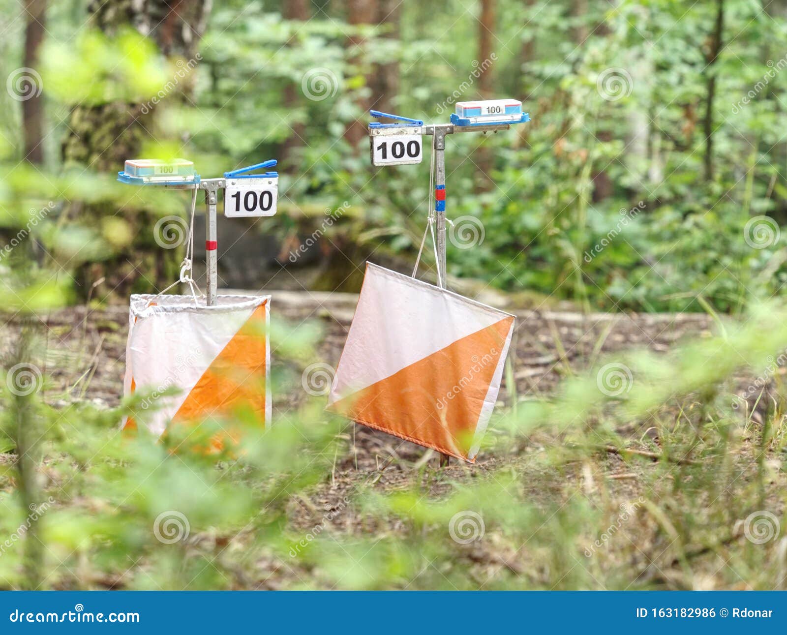Orienteering Training in Forest Parkland. Outdoor Orienteering Stock ...