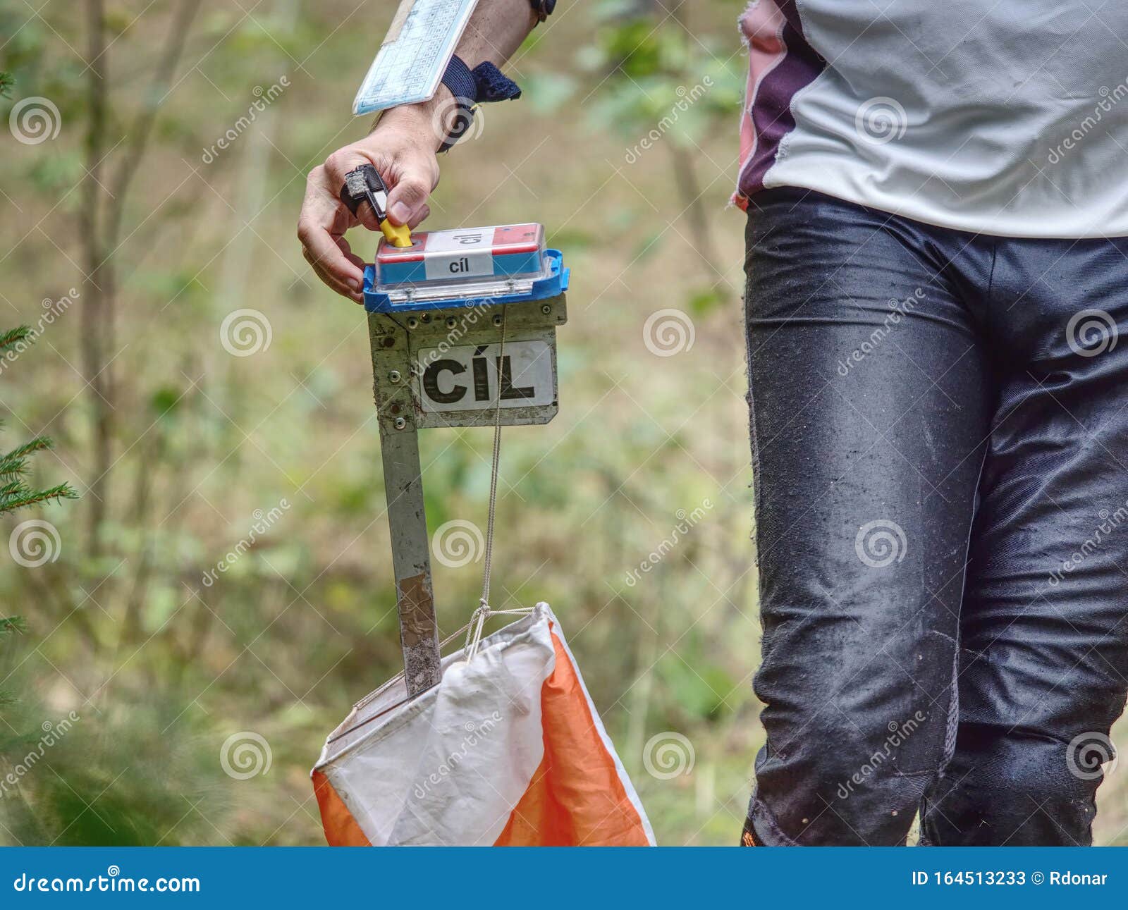 Orienteering Training in Forest Parkland. Outdoor Orienteering Stock ...