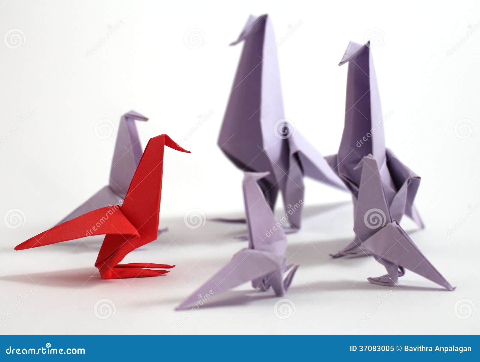 Origami bird stock image. Image of family, five, competitive - 37083005