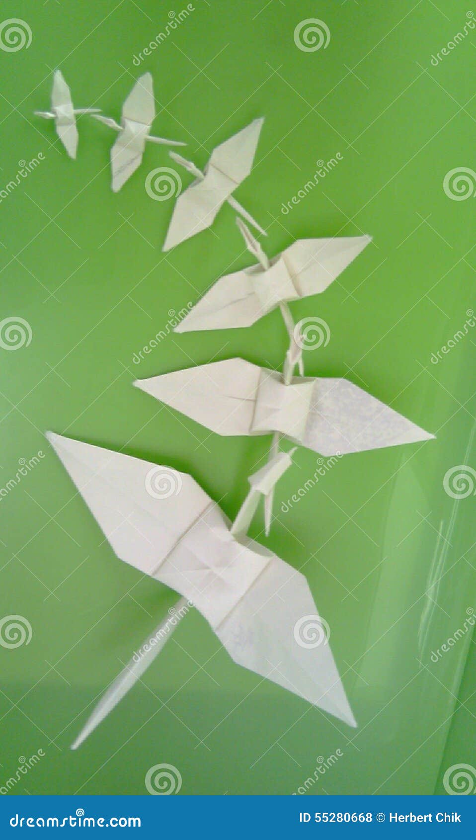 Origami on Green stock photo. Image of small, plastic - 55280668