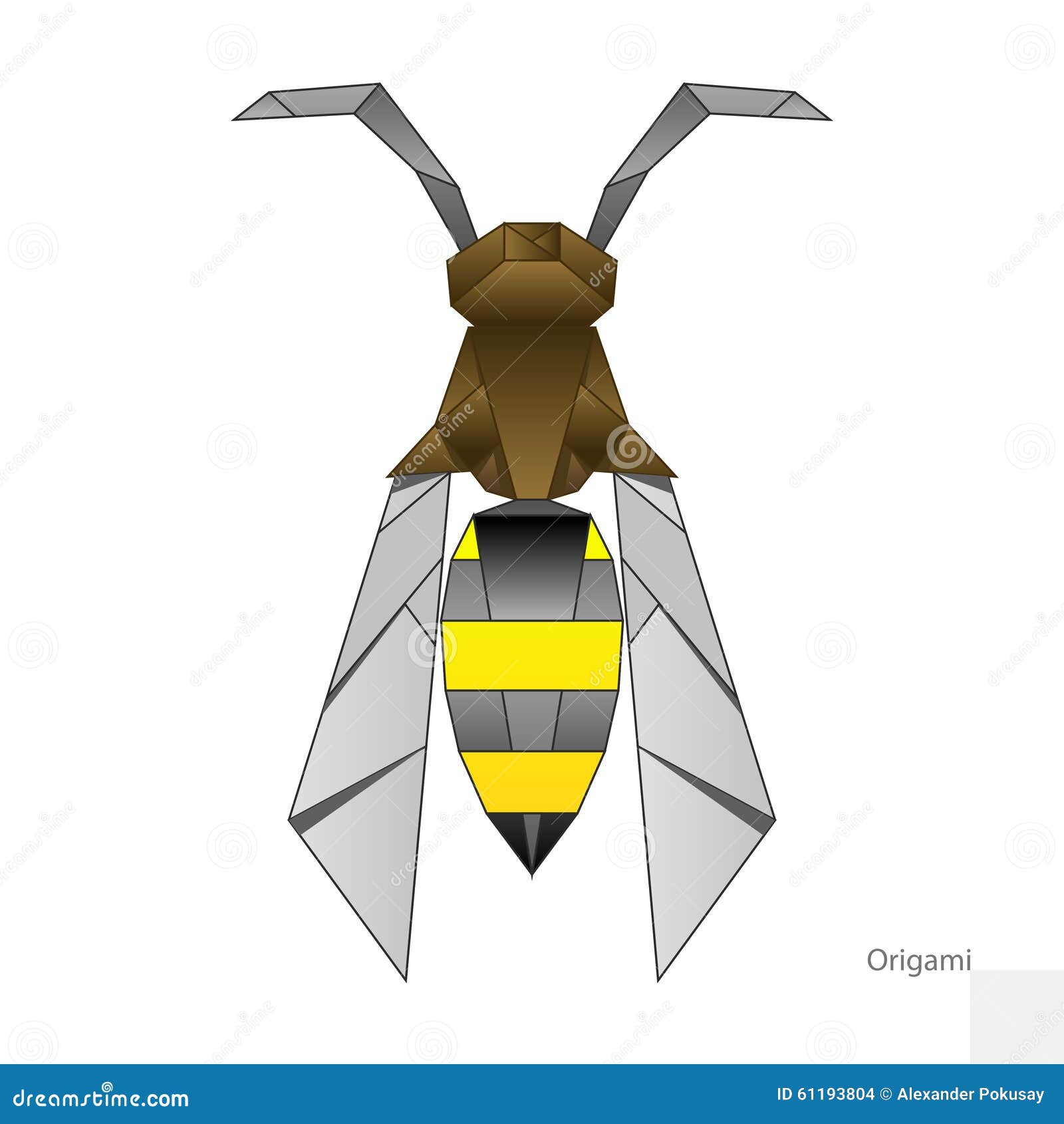 Paper Wasp Vespa Nidulans Or Umbrella Wasp Vintage Engraving Vector ...