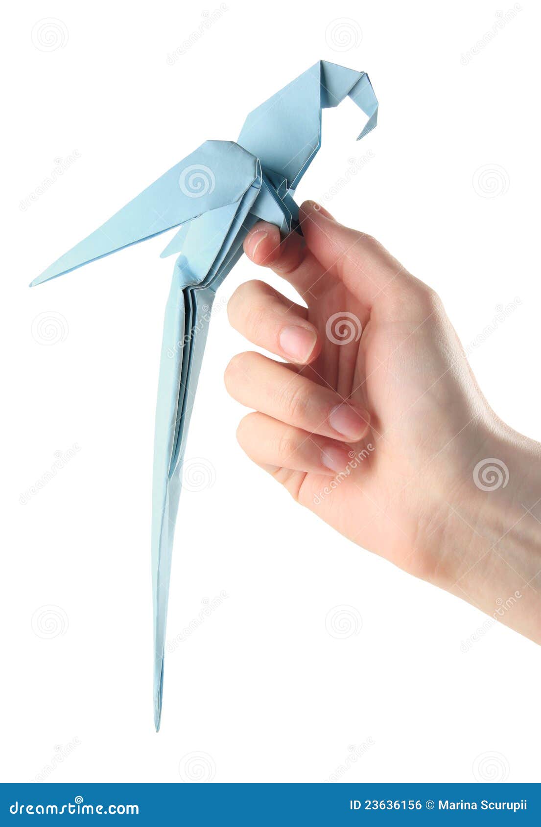 Origami parrot on hand stock photo. Image of happiness - 23636156