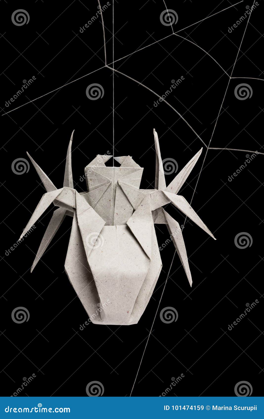 Origami spider isolated stock image. Image of isolated - 101474159