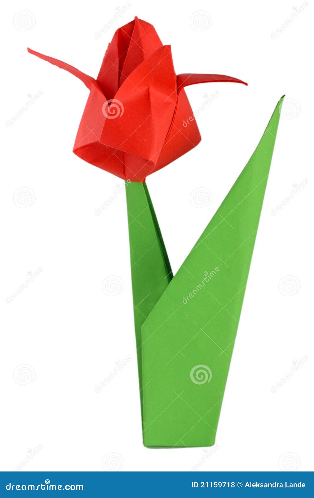 Origami tulip stock photo. Image of paper, star, green - 21159718