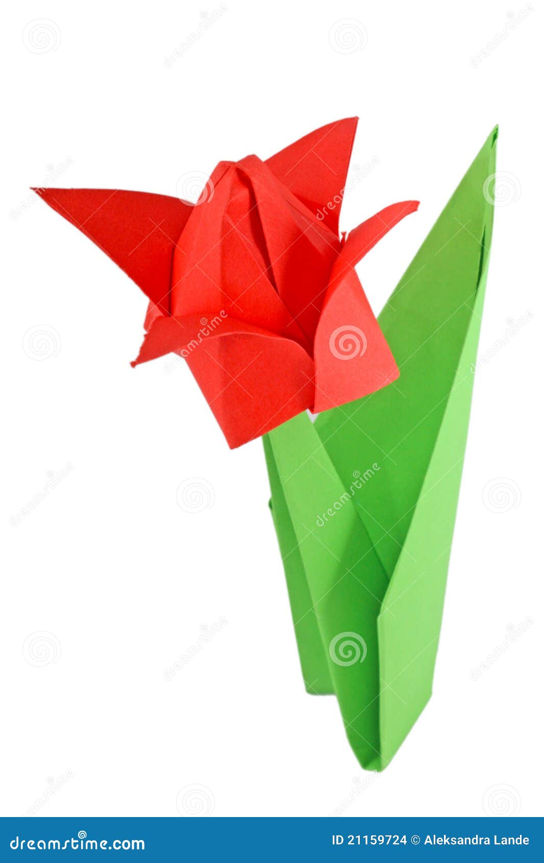 Origami tulip stock photo. Image of japan, design, traditional - 21159724