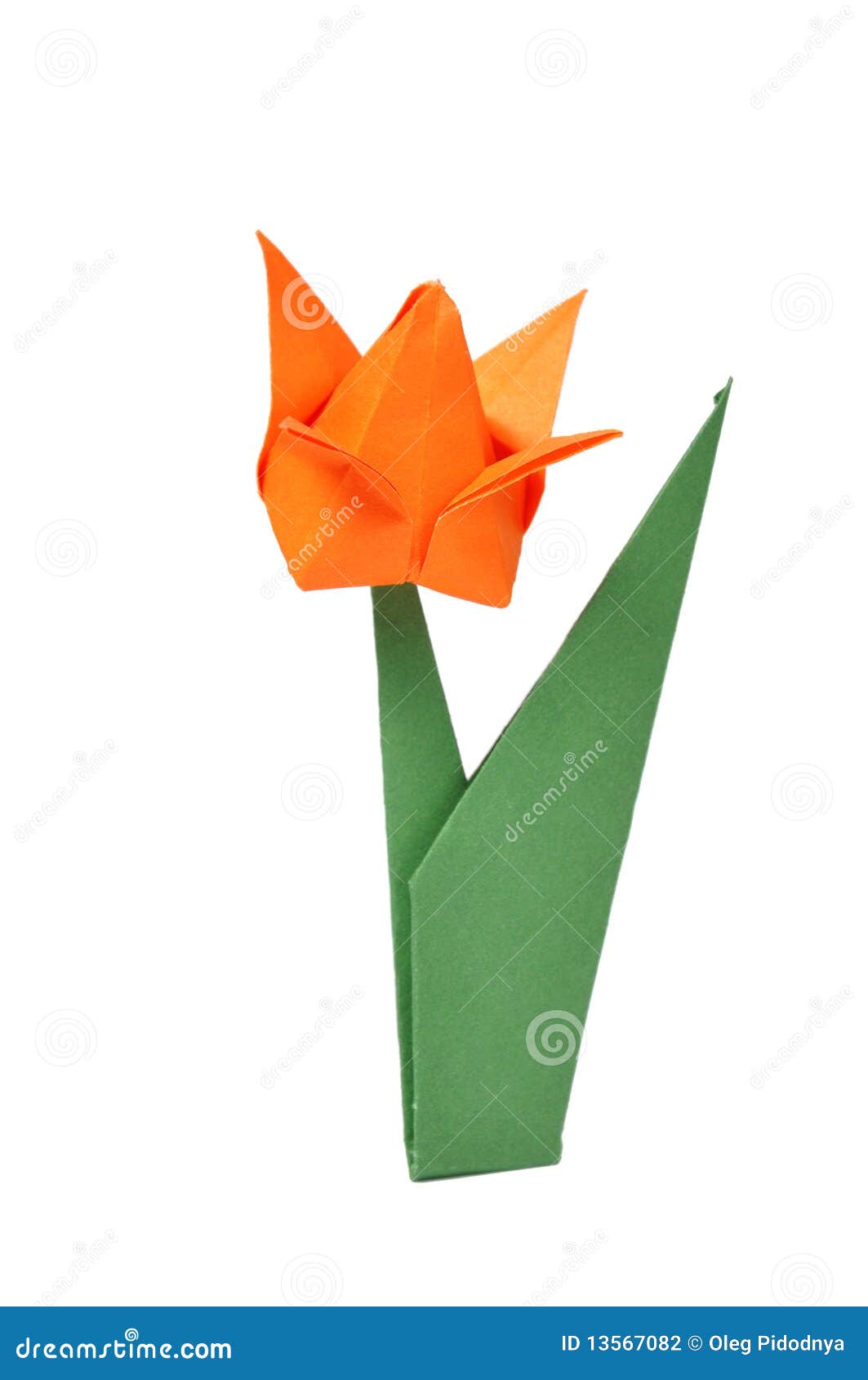 Origami tulip over white stock photo. Image of green - 13567082