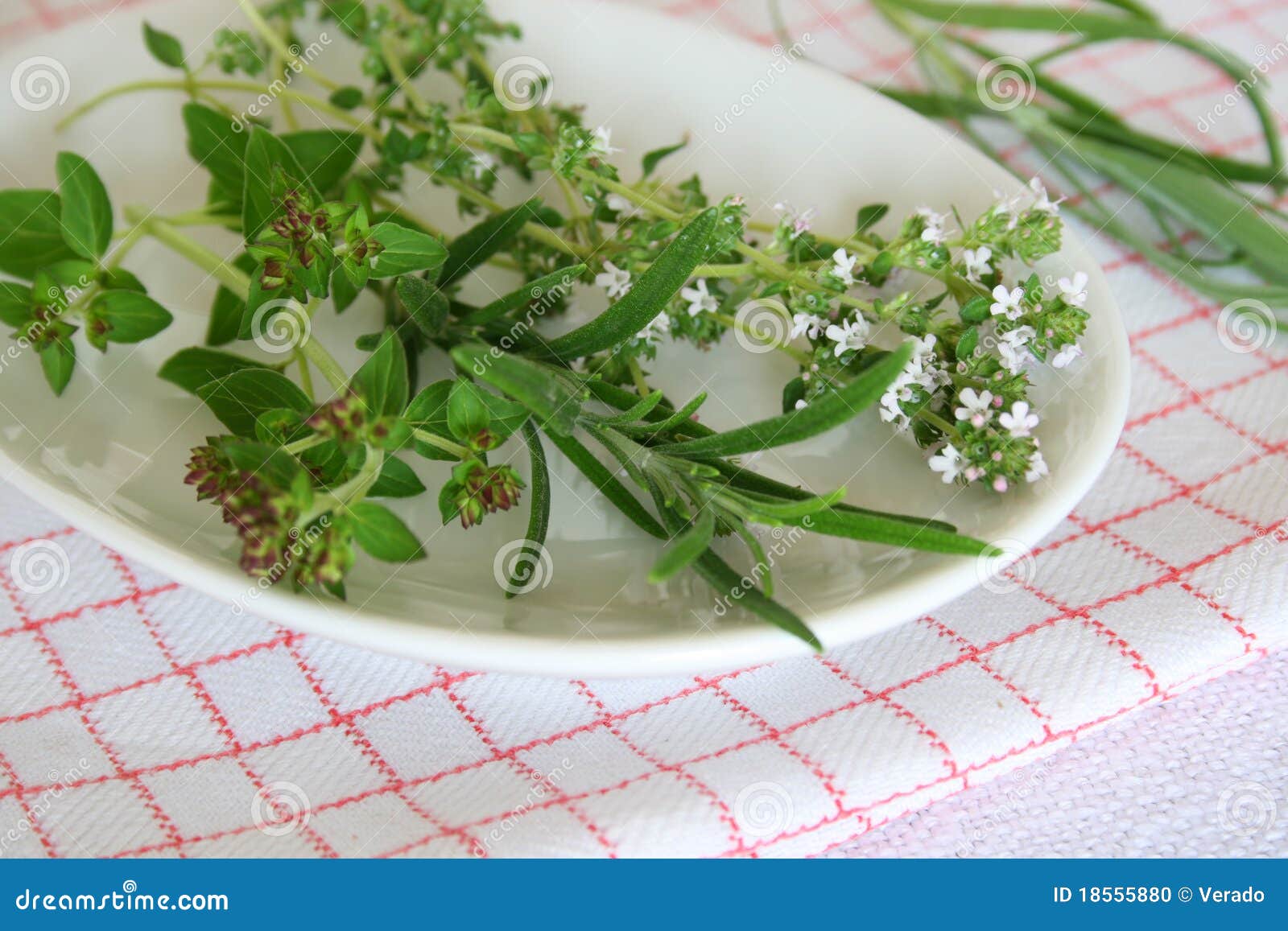 Origan, thym, romarin photo stock. Image du herbe, herbal - 18555880