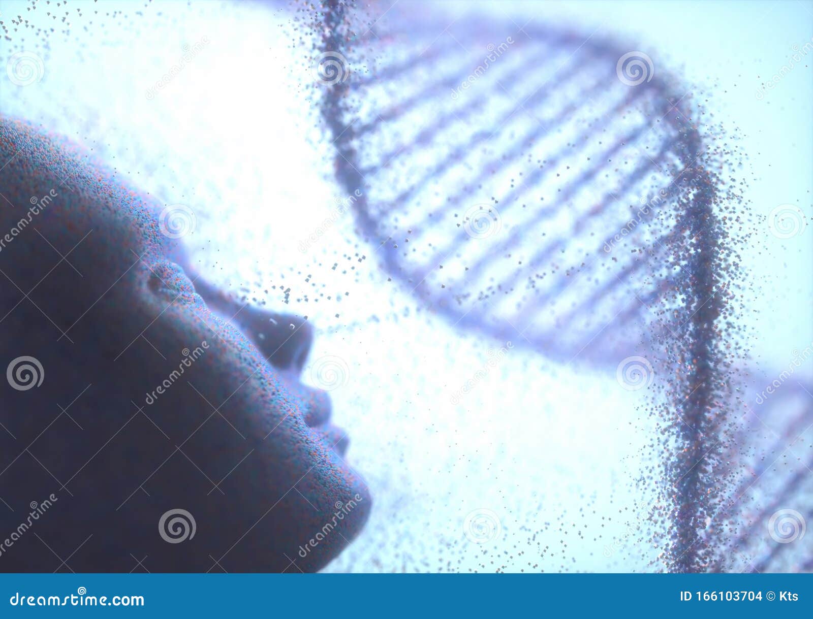 Human Origen DNA Genetic Molecular Structure Stock Illustration ...