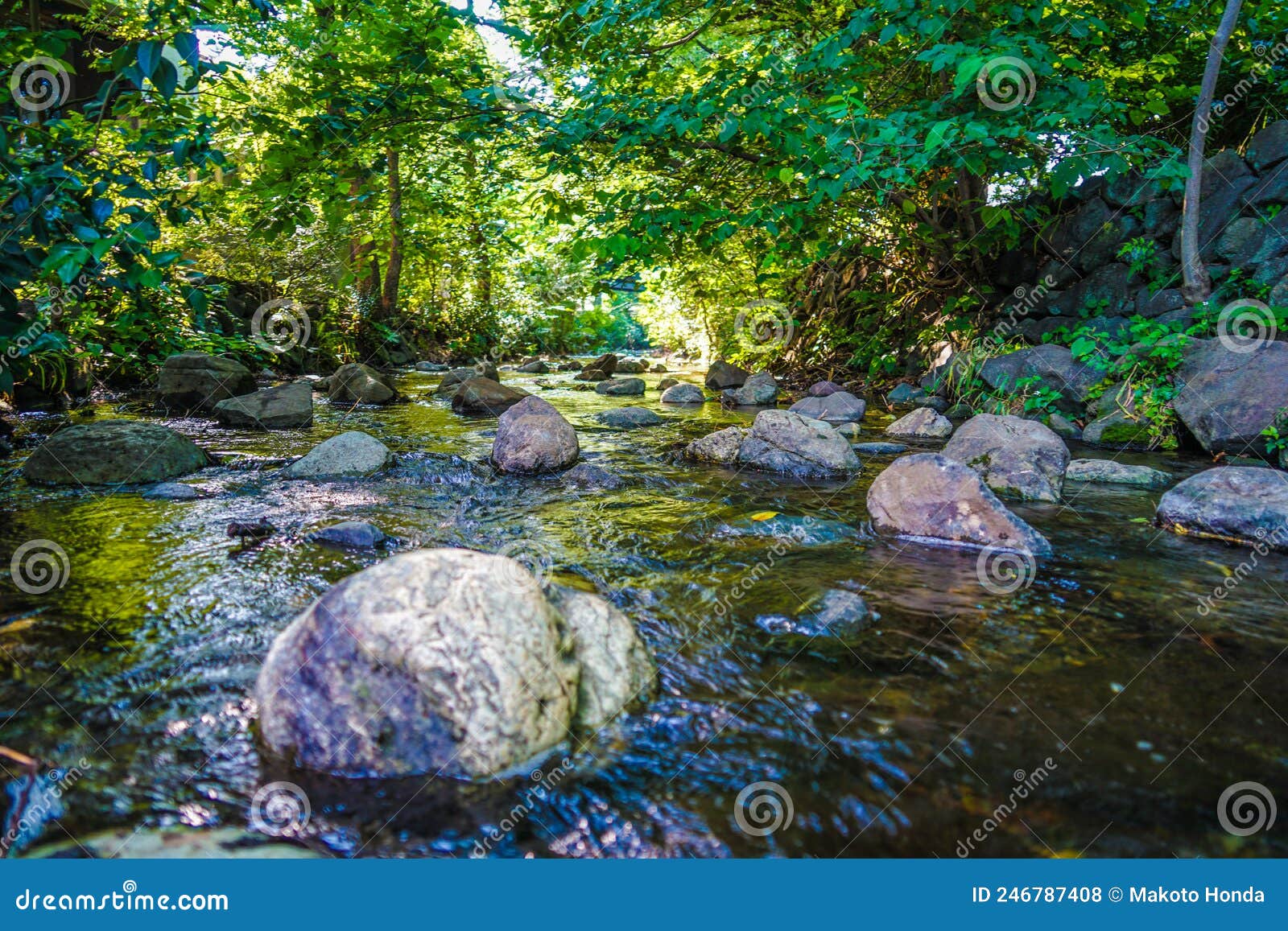 The Origin of the Kanda River Stock Photo - Image of fresh, rivers ...