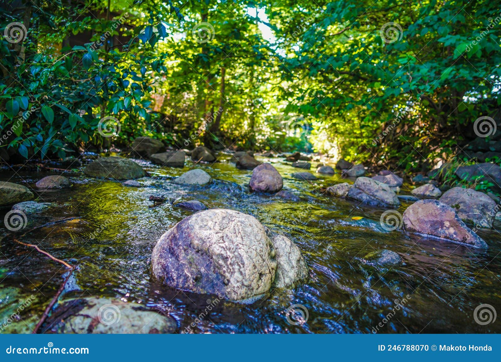 The Origin of the Kanda River Stock Photo - Image of pond, park: 246788070