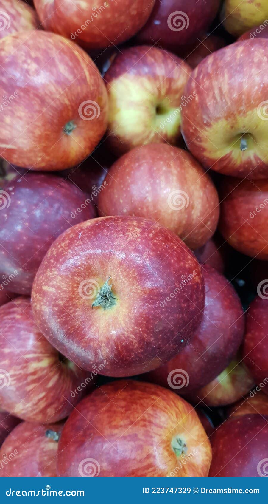 Original apple photo stock image. Image of food, original - 223747329