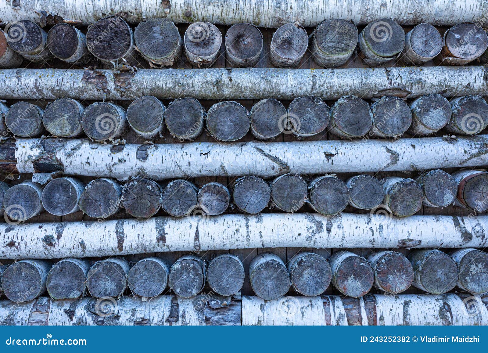 Original Background or Backdrop of Stack of Birch Beams, Trunks or Logs ...