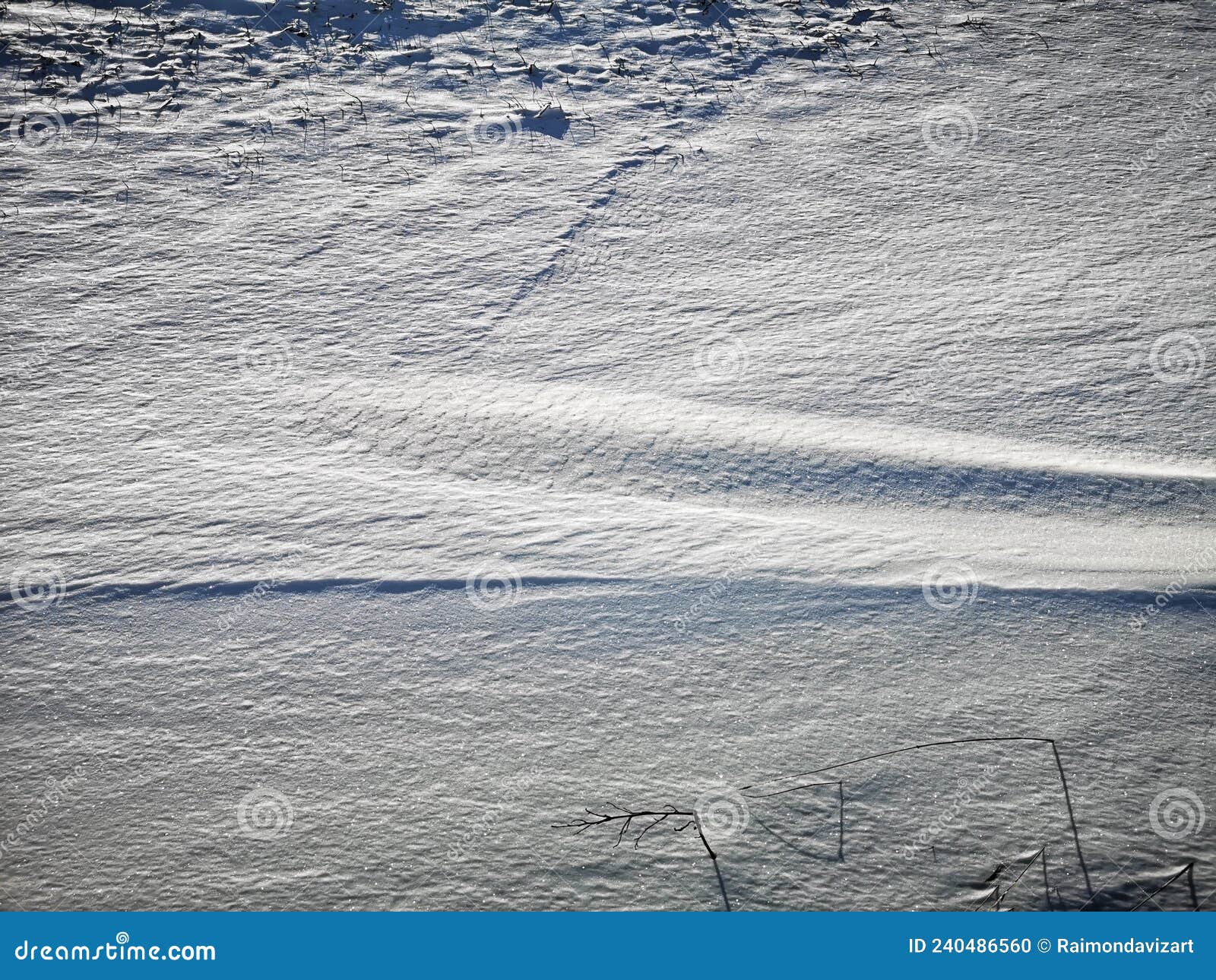 Original Textures of Snow, Branches, Soil Stock Photo - Image of nature ...