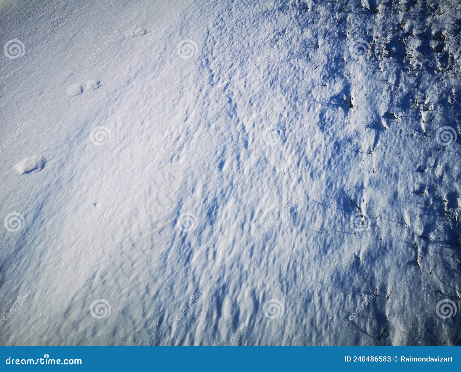 Original Textures of Snow, Branches, Soil Stock Image - Image of ...