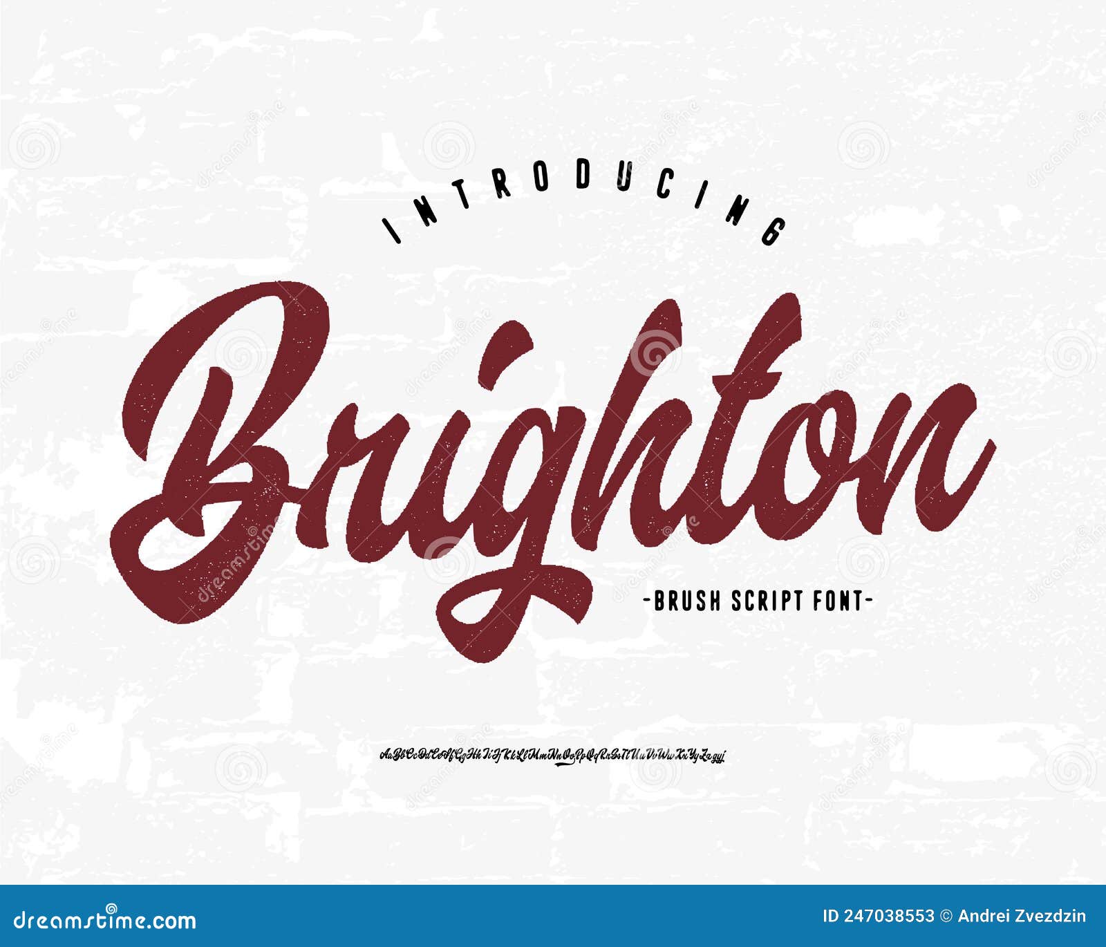 Original Brush Script Font Retro Typeface Vector Stock Vector ...