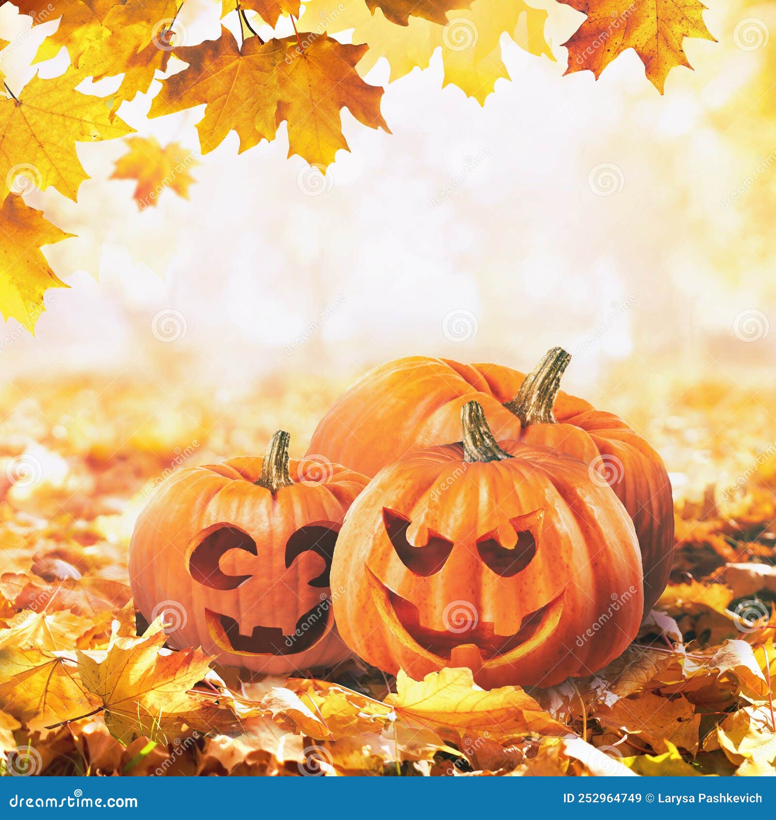 Original Composition of Three Pumpkins for Halloween. Stock Image ...