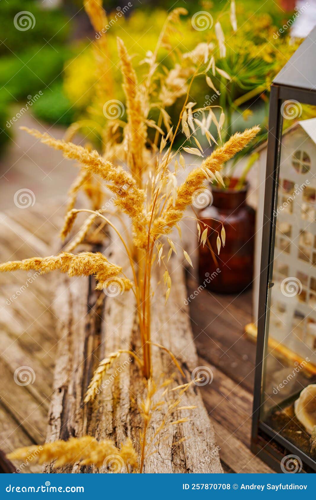Original Decor for the Interior. a Log with Ears of Corn Stock Photo ...