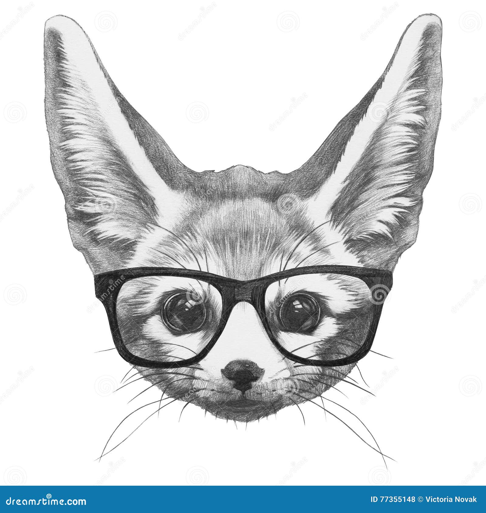 Original Drawing of Fennec Fox with Glasses. Stock Illustration ...