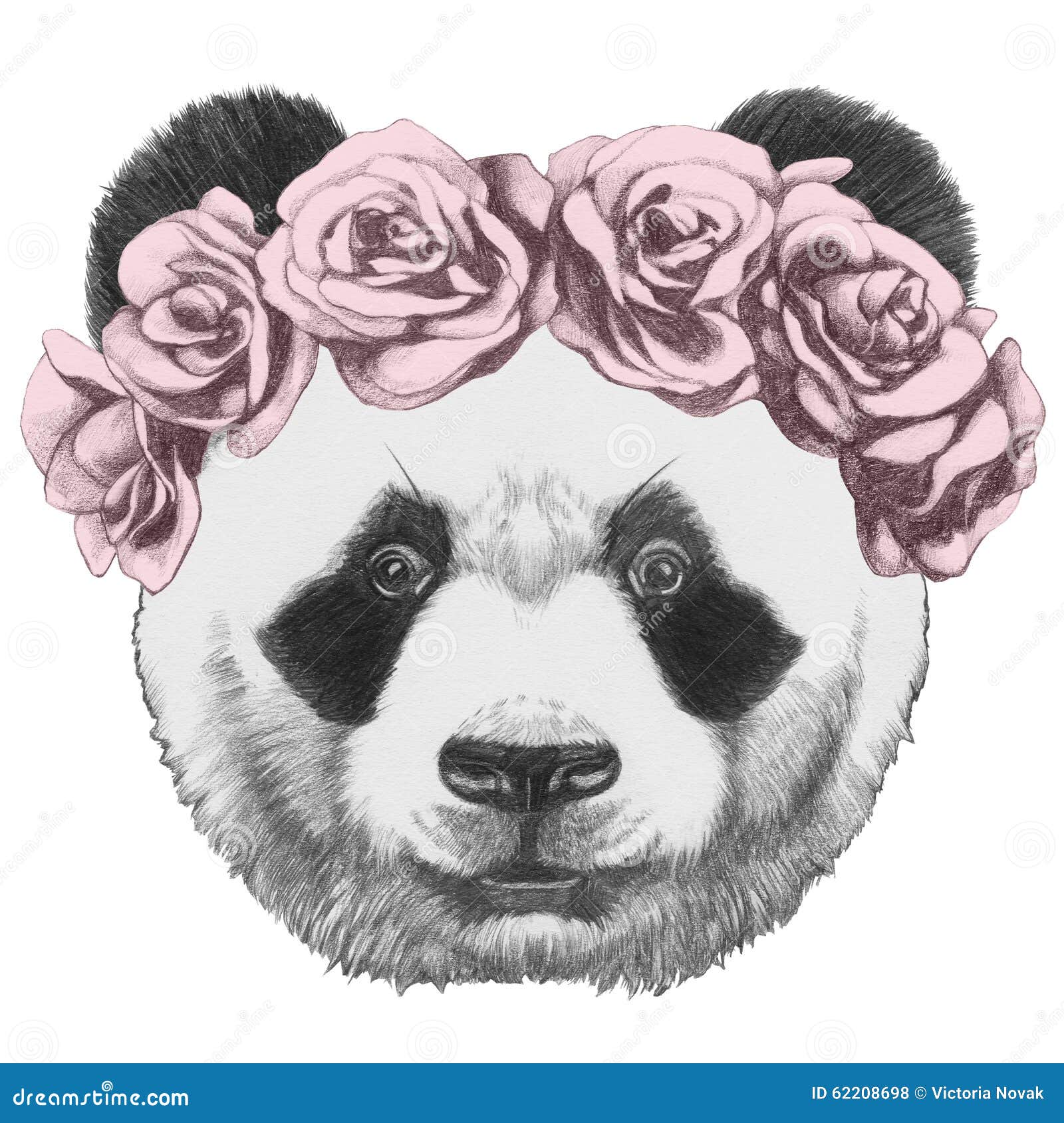 Original Drawing Of Panda With Roses. Stock Illustration - Illustration ...