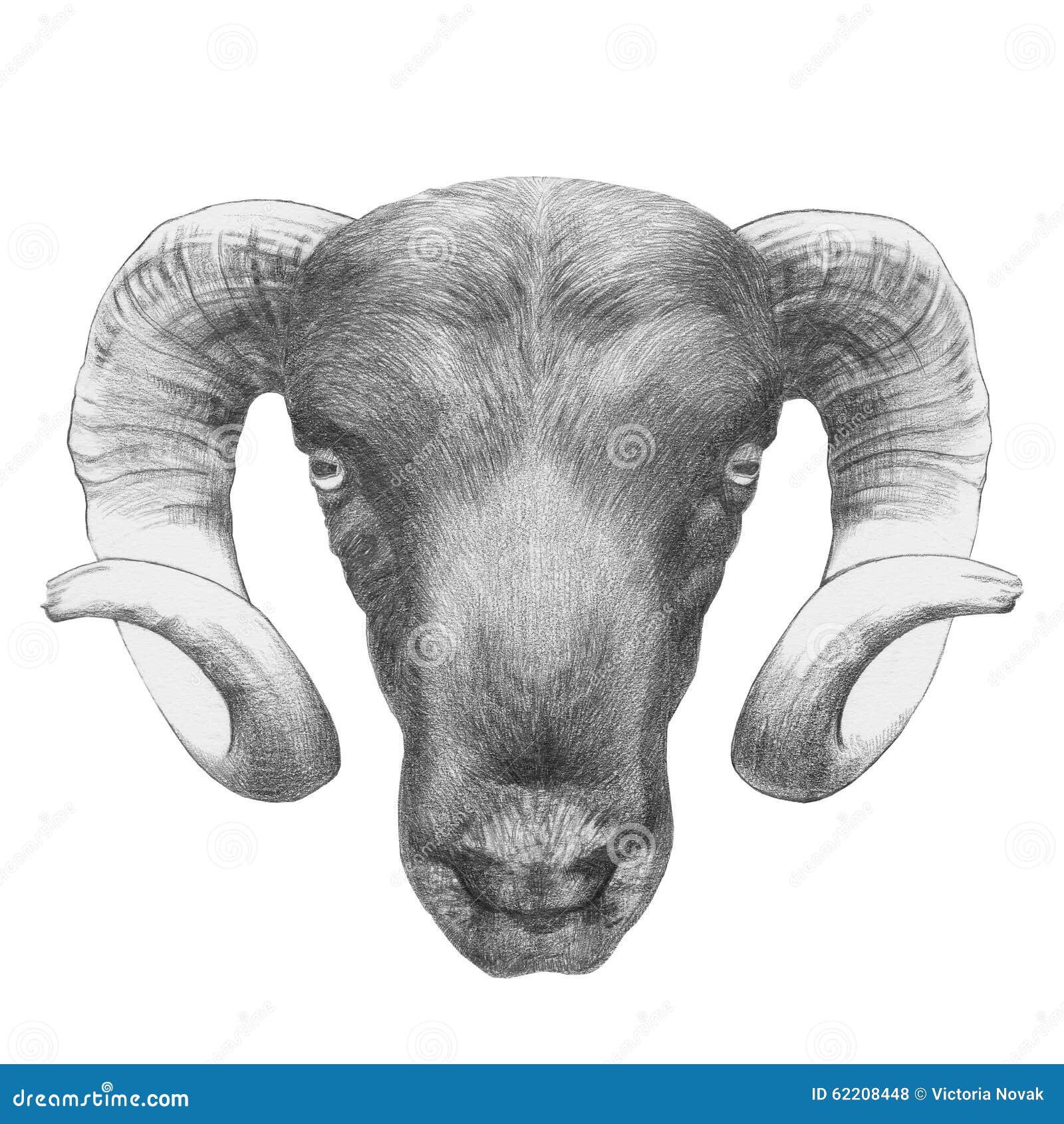Original drawing of Ram. stock illustration. Illustration of decor ...