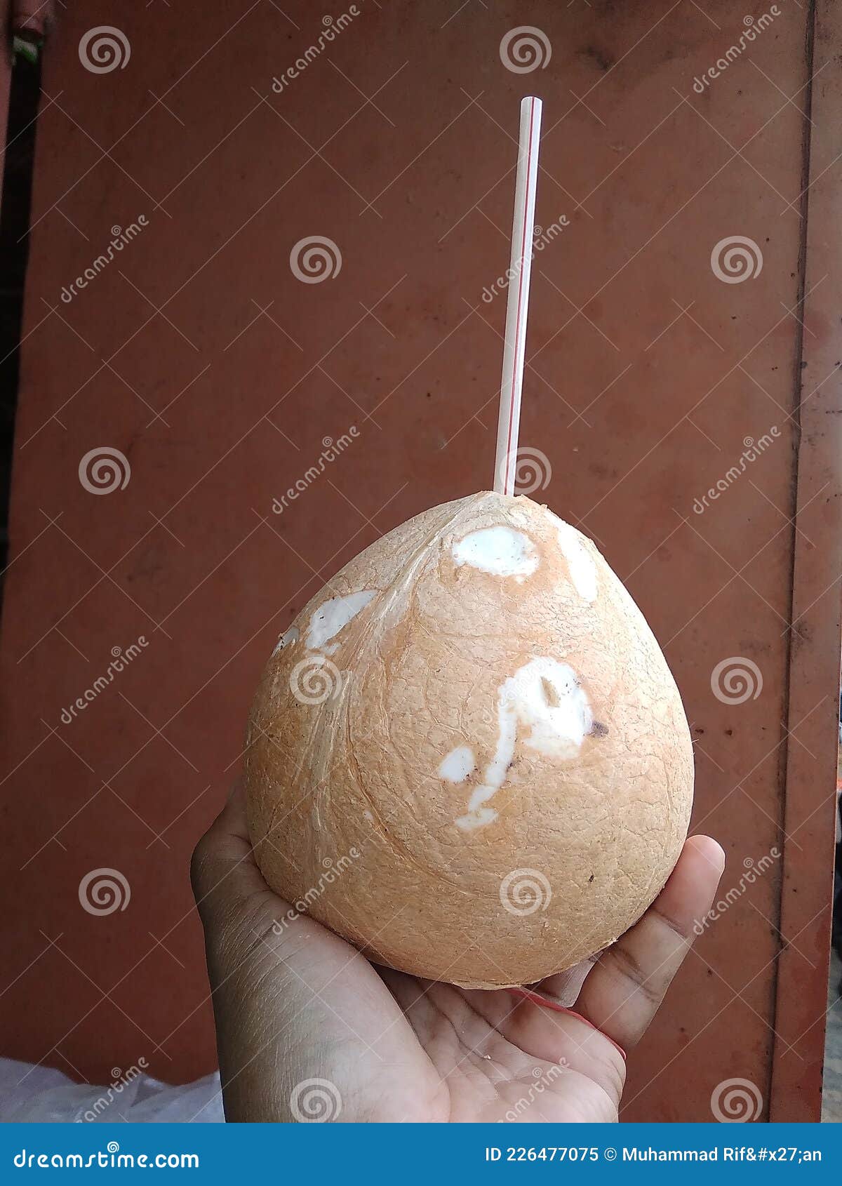 Original drink coco stock image. Image of fruit, coco - 226477075