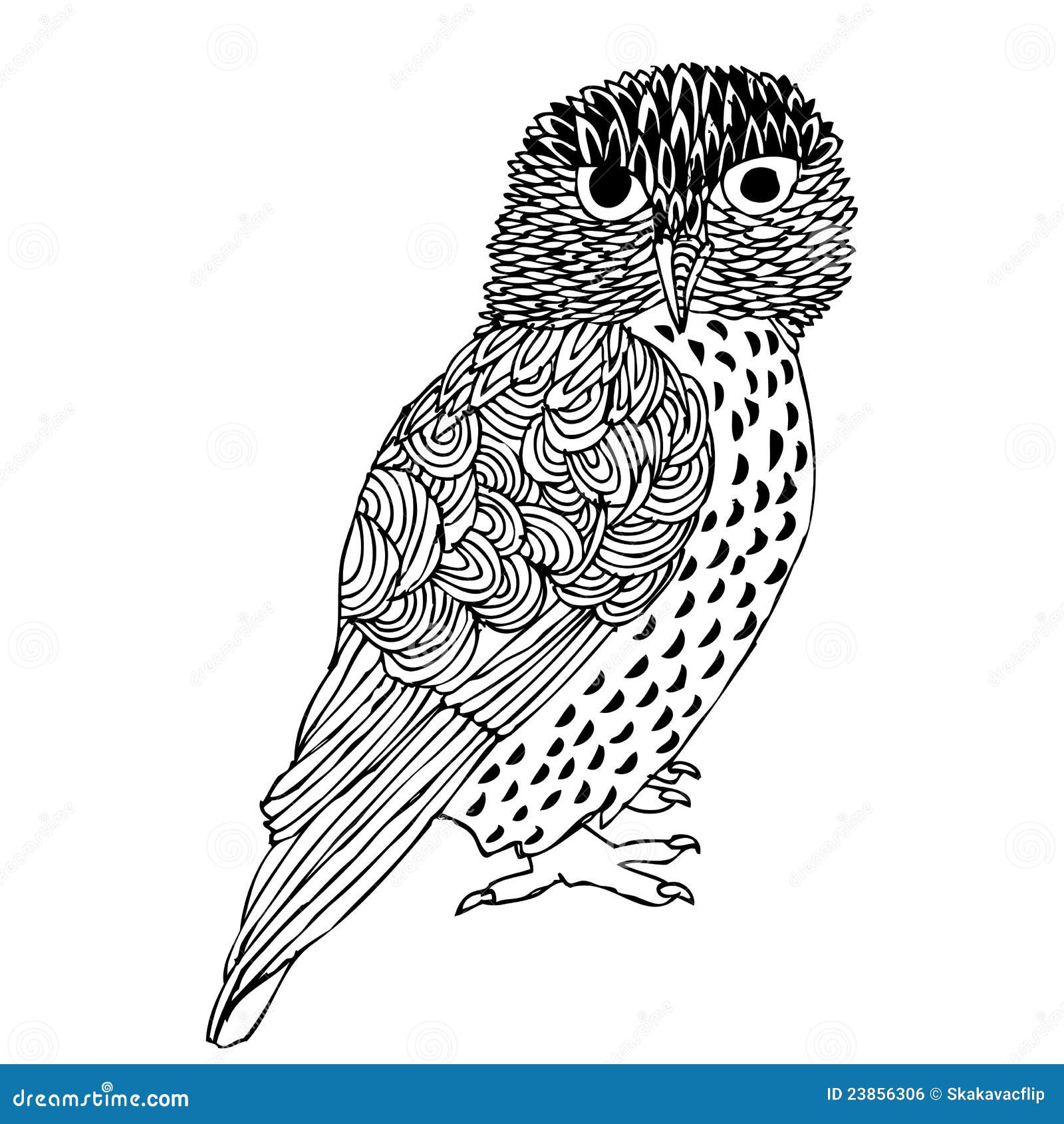 Original Hand Drawing of Owl Stock Vector - Illustration of night ...